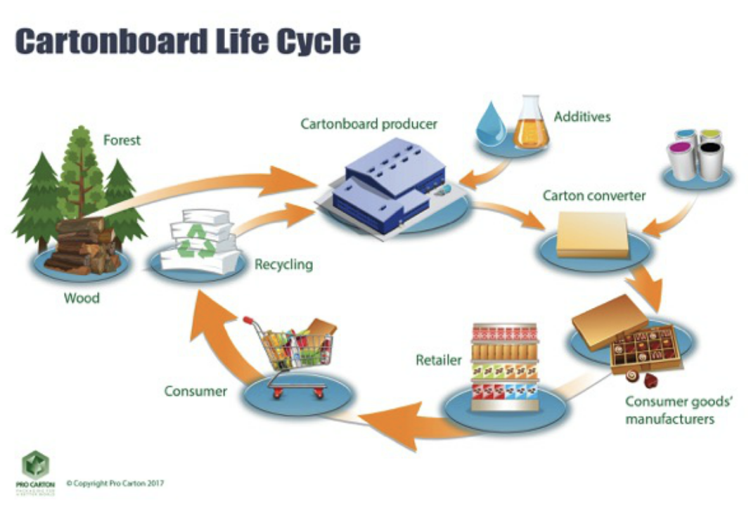Carton Industry’s Carbon Footprint – ThePackagingPortal.com