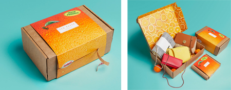 Ted Baker achieves seasonal sustainability – ThePackagingPortal.com